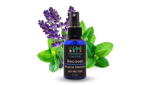 Recover Muscle Mender - Crooked Cactus CBD
